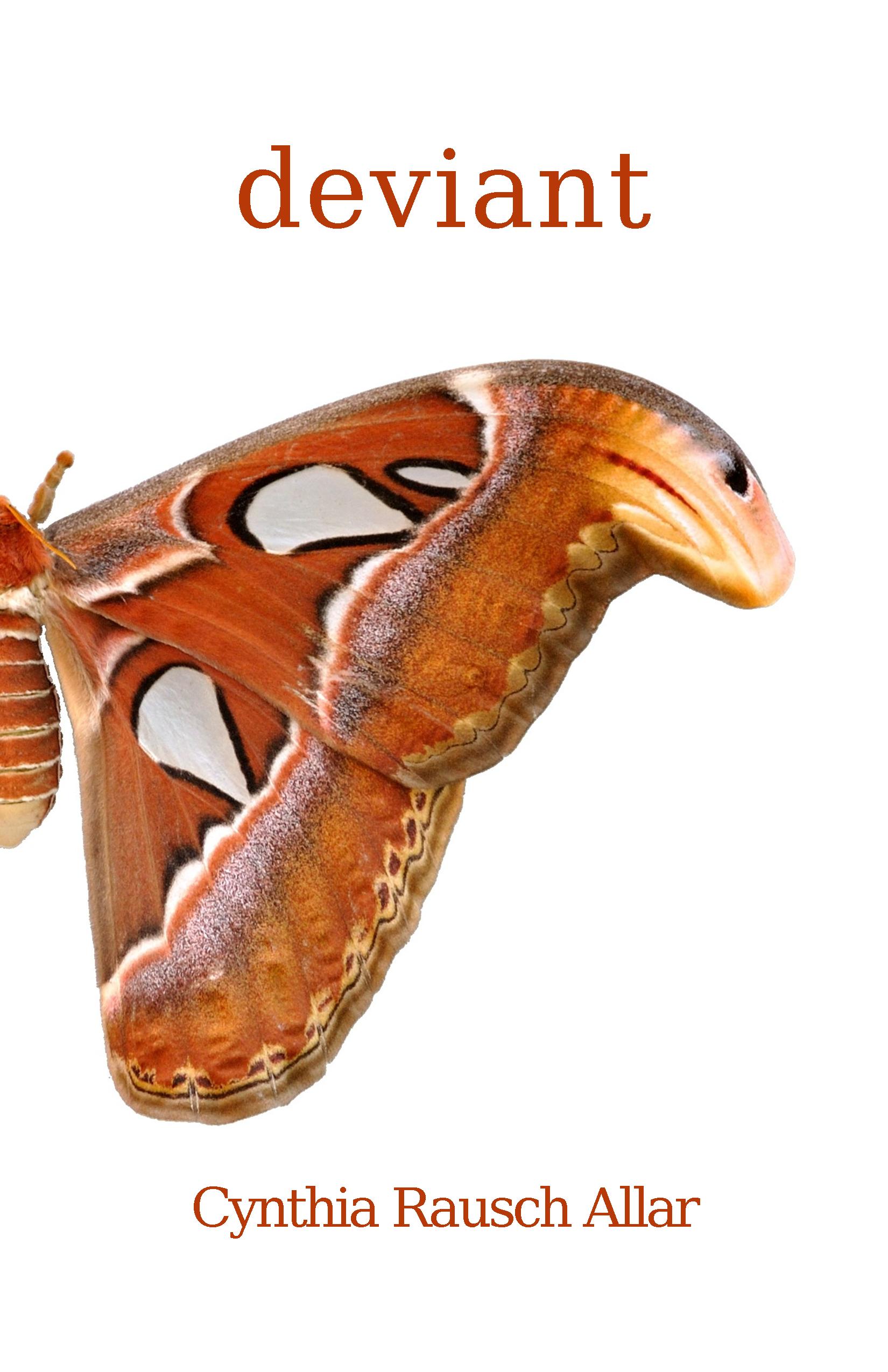 Cynthia Rausch Allar| Deviant | Seven Kitchens Press